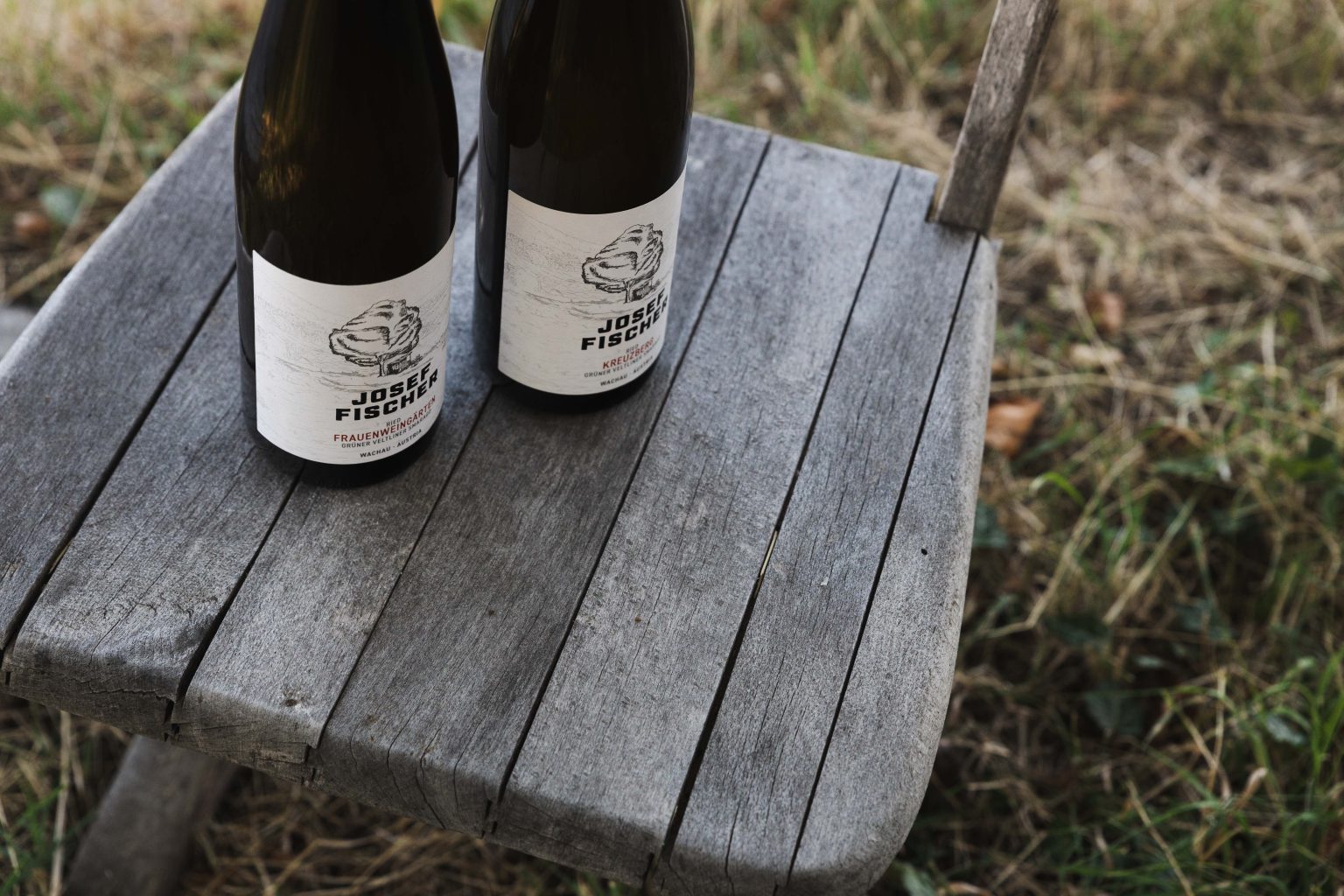 Wein aus Leidenschaft - Weingut Josef Fischer